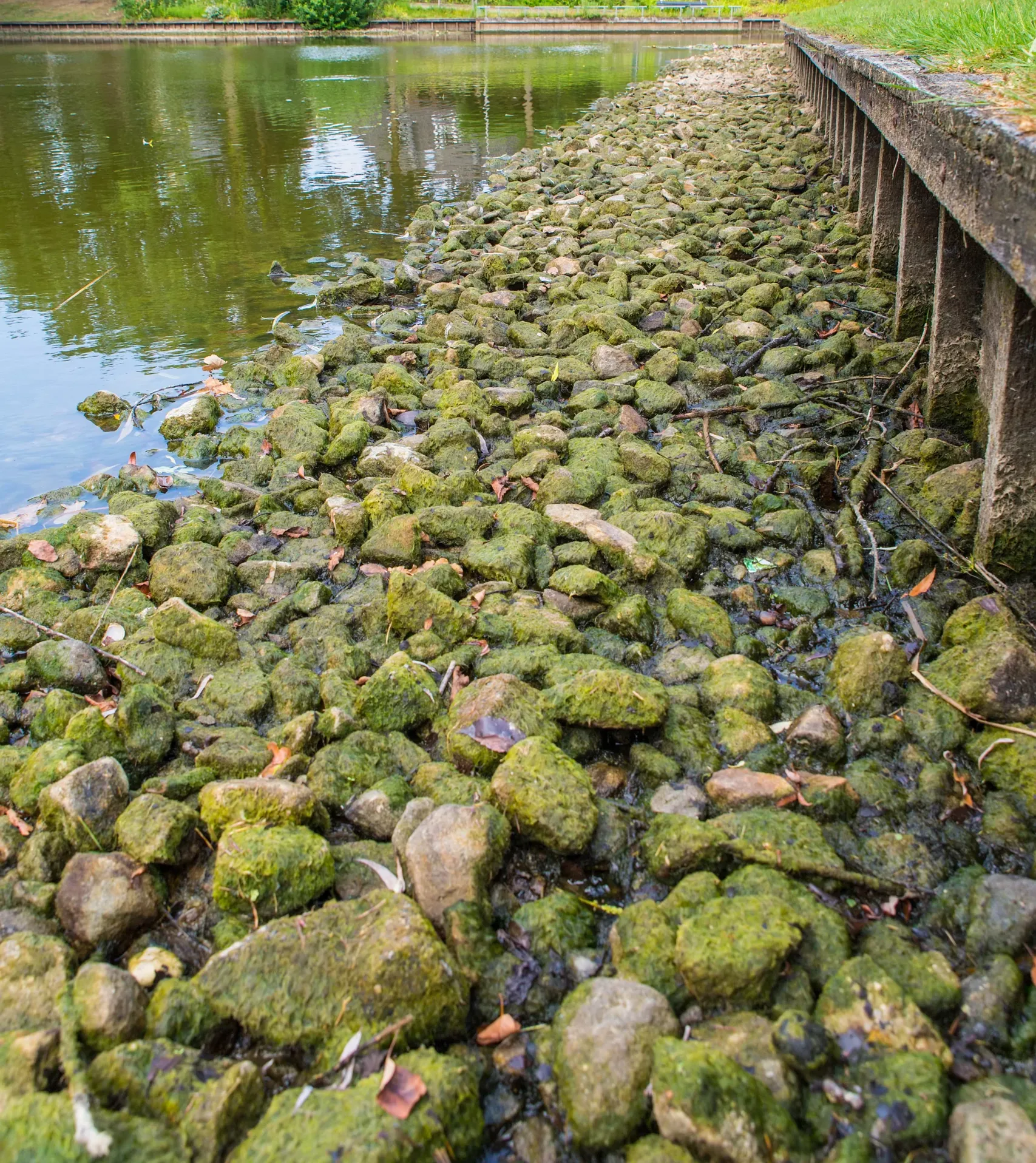 Webinar: The Impact of Low Water Levels on Shoreline Systems - NTH ...